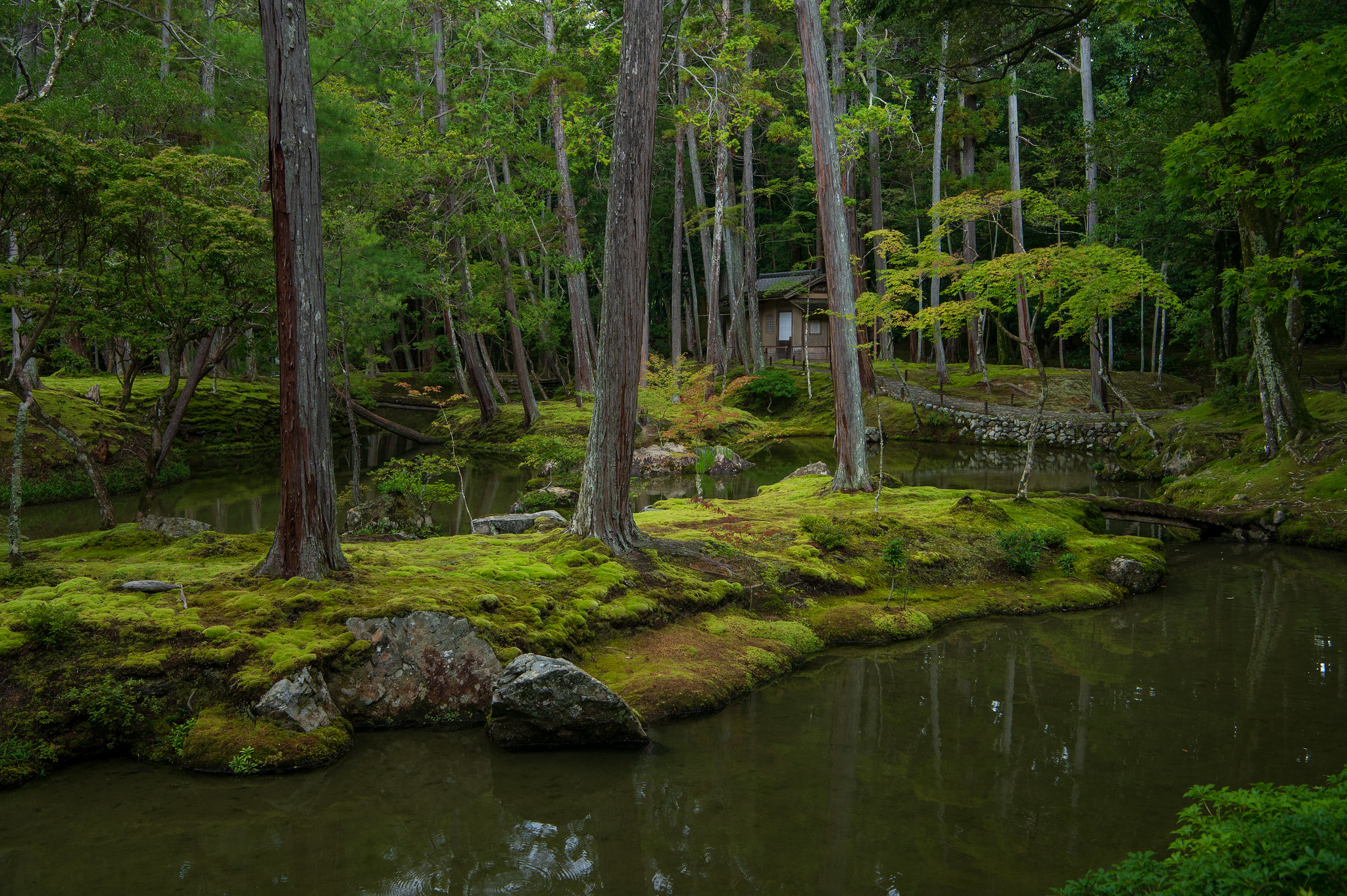 Featured Garden: Saihō-ji’s Moss Temple in Kyoto