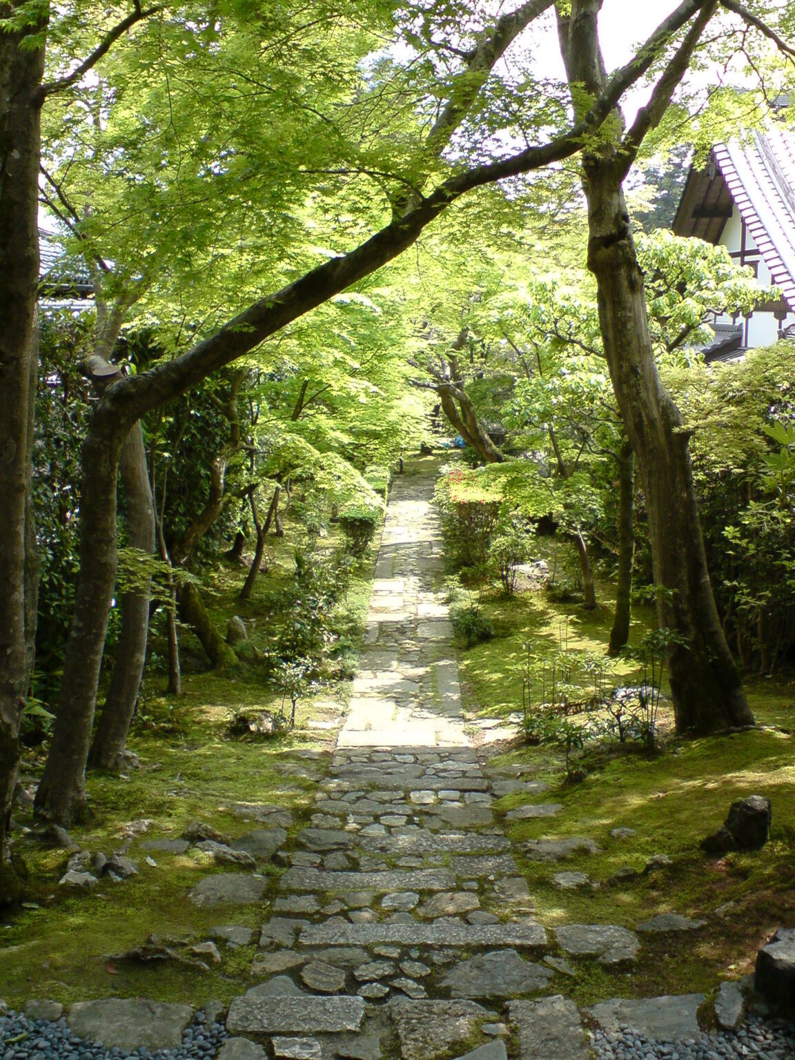 Featured Garden: Saihō-ji’s Moss Temple in Kyoto