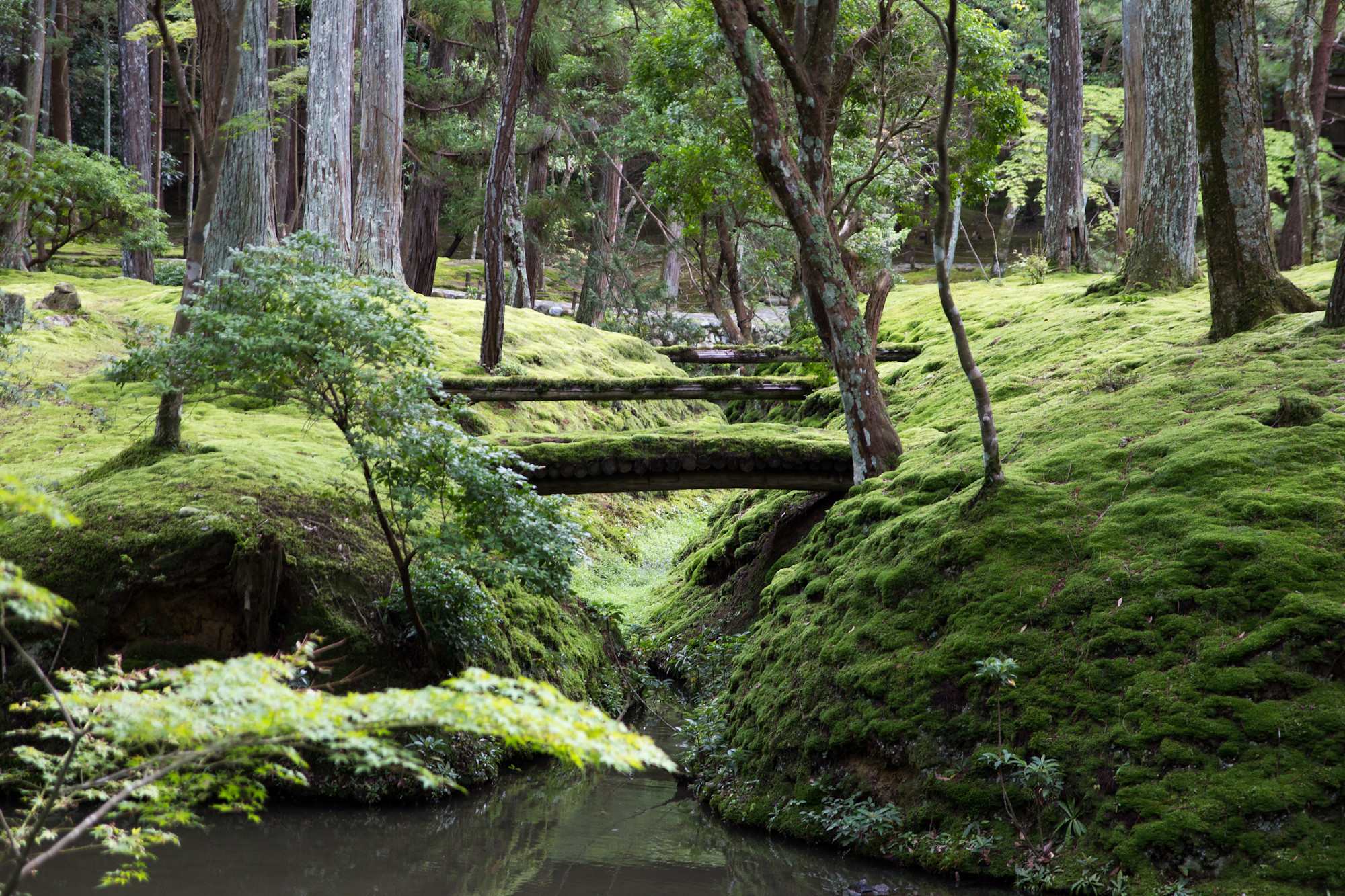 Featured Garden: Saihō-ji’s Moss Temple in Kyoto