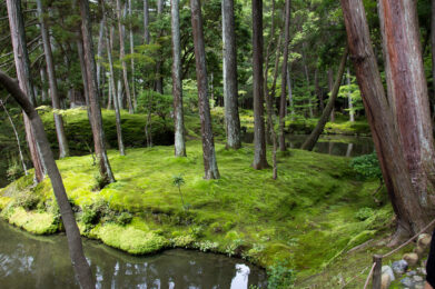 Featured Garden: Saihō-ji’s Moss Temple in Kyoto